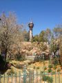 Where Is the Rapunzel Tower in Magic Kingdom? | ParkVeteran